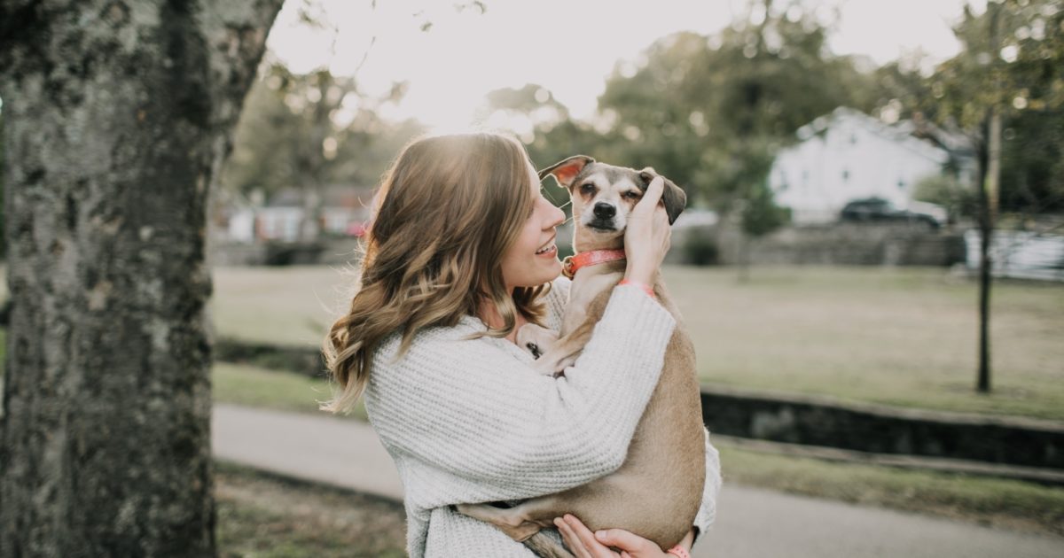 How to Treat a Cut on Your Dogs Paw Pad | FirstVet