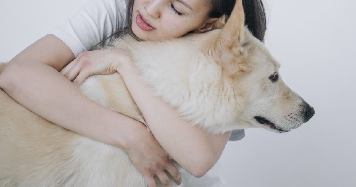 How to Perform CPR on Dogs and Cats | FirstVet