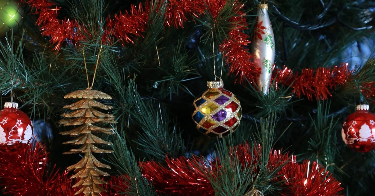 Christmas Trees and Other Holiday Dangers for Pets | FirstVet