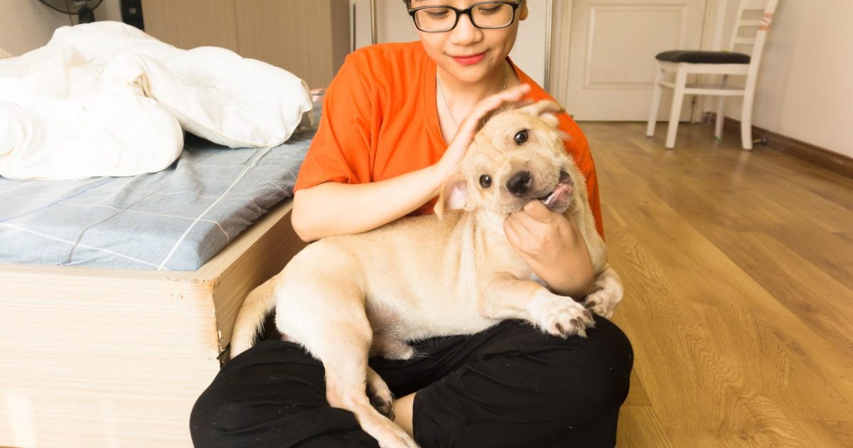 Is Prilosec (omeprazole) safe for dogs and cats? | FirstVet