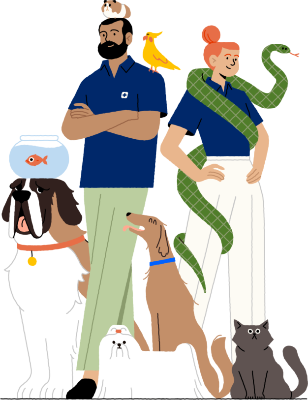 Your Online Vet - Video call a qualified vet | FirstVet